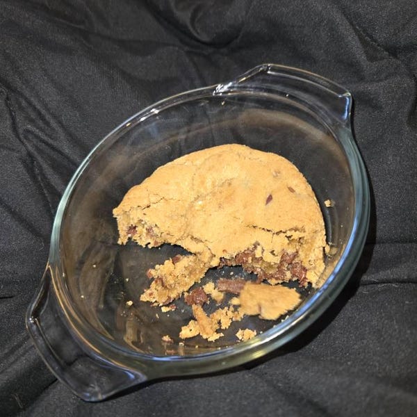 Big Homemade Chocolate Chip Cookies Jumbo Gooey Soft Cookies Freshly ...
