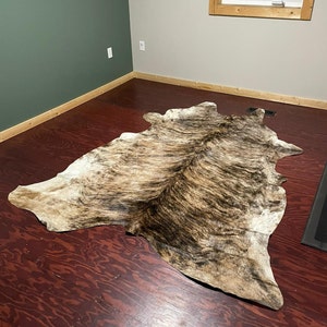 Springbok Hide Natural XXL African SPRINGBOK Skin Approx. | Etsy