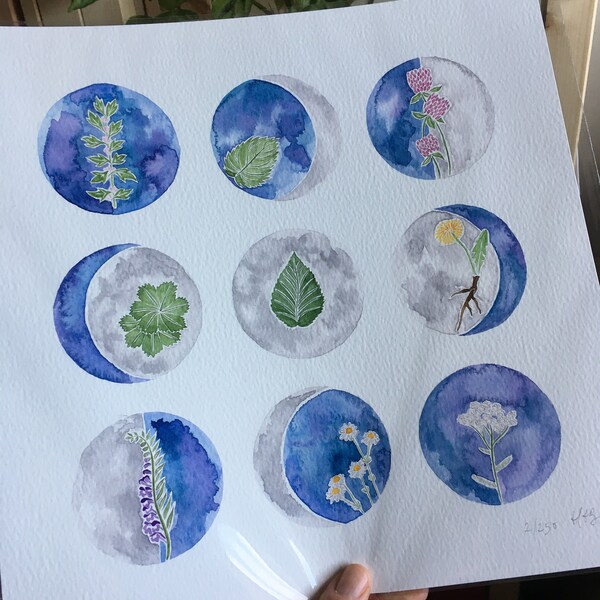 Watercolour Lunar Moon Phase Cycle Art Print - Art Print (8" X 8 ...