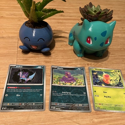 Bulbasaur pintado y maceteros extraños con suculentas/cactus vivos Dos ...