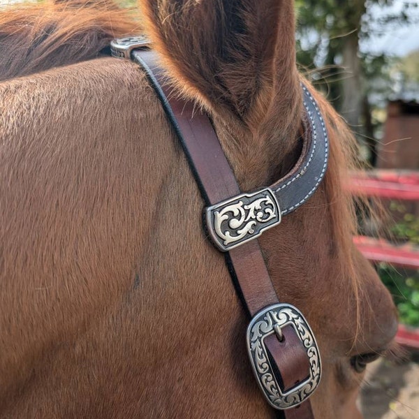 Set of 4 Loops and Rings Noseband Halter Hardware Stainless Steel Horse ...