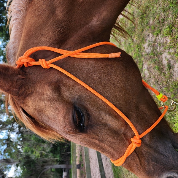 18ft Driving Line Black Horse Rope Lunge Line Gift for Horse Owner ...