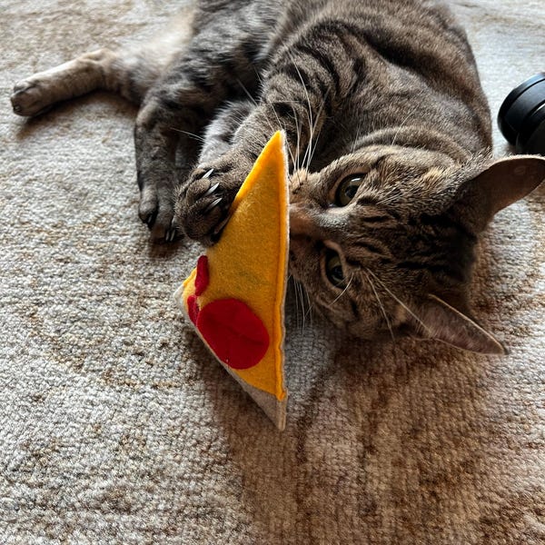Pepperoni Pizza Slice Catnip Cat Toy - Ready to Ship, Gift for Cat ...