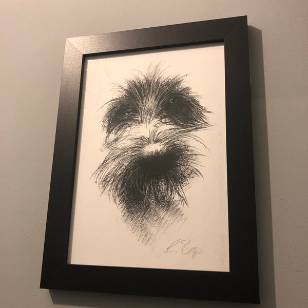 Scruffy Dog | Limited Edition Fine Art Print From Original Drawing ...