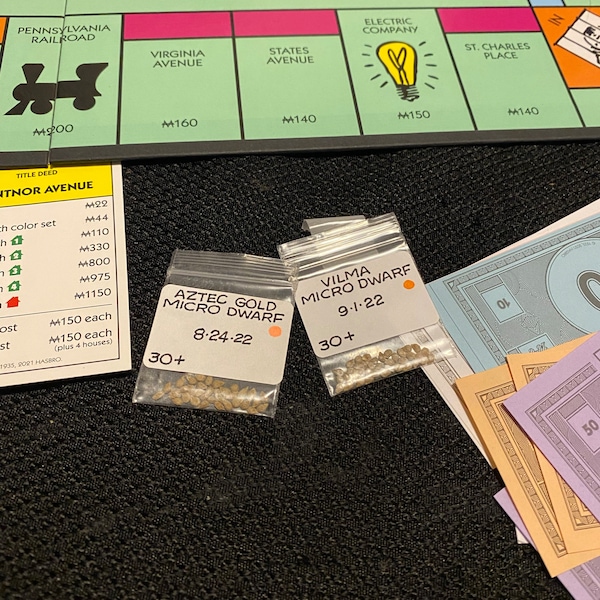 Aztec Gold Micro Dwarf Tomato 30+ Fresh Seeds for 2026 - Etsy