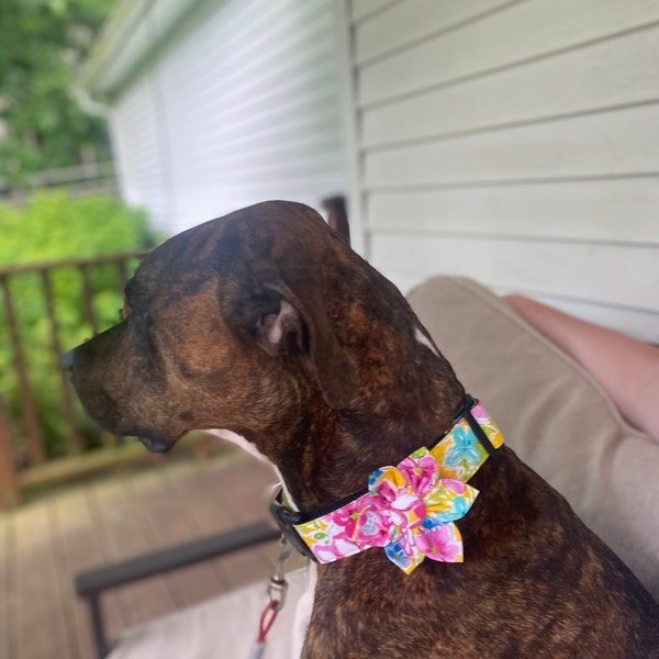 Handmade Duck Collar. Coco Collar. Green and Brown Jacquard Ribbon. for ...