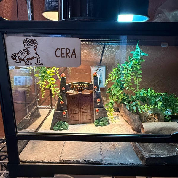 Leopard Gecko Tank Decor, Leopard Gecko Accessories, Leopard Gecko Tank ...