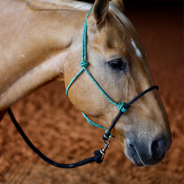 Rope Headstall - Etsy