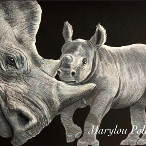 Detailed Animal Sketches 1. A Coloring Collection by Tim Jeffs - Etsy