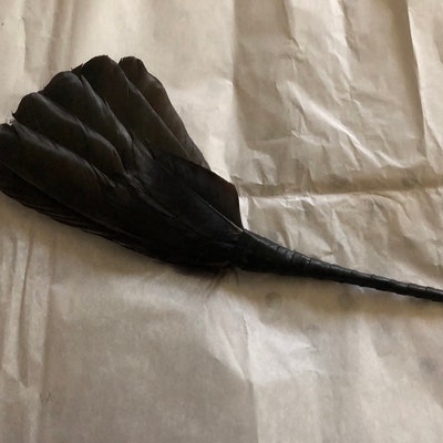 Black Raven Feathers, Crow Feathers, Magic, Witchcraft Tools - Etsy