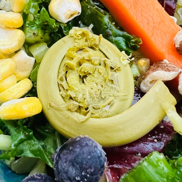 Wildcrafted Periwinkle Tincture - Etsy