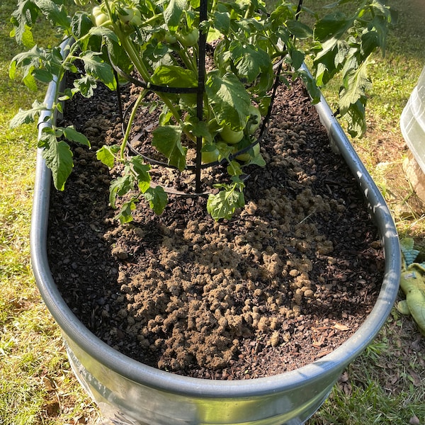 Qty1 Vintage REAL 1960s Rustic Horseshoes Authentic Wire Wheel Ground ...