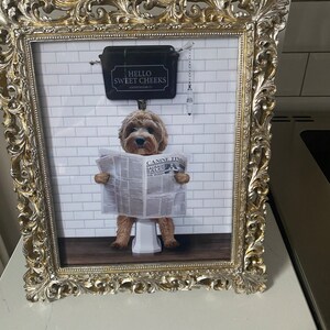 Highland Cow Shaking Head in a Bath Print Cow Bathing Funny - Etsy