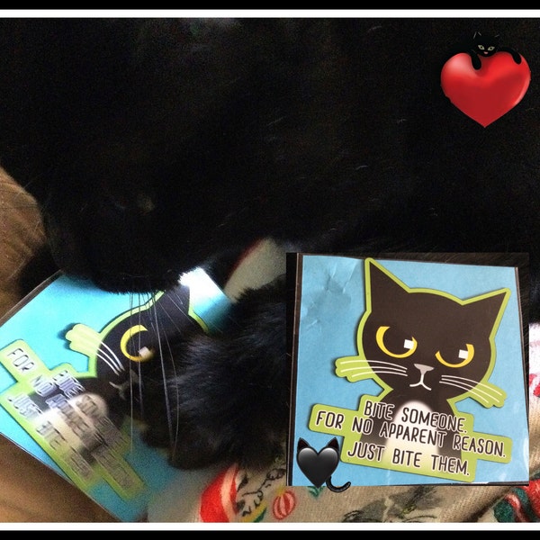 TNR Cat Tee Shirt| Trap Neuter Return | Grey Slim Fit Size M Ladies ...