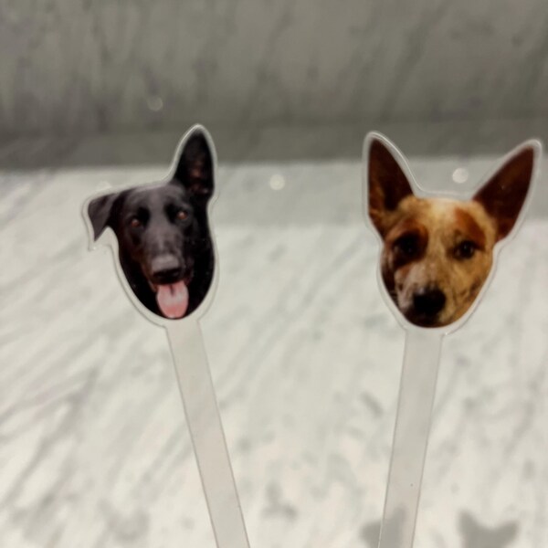 Wedding Pet Stir Sticks, 50 Pcs Double-sided Dog Stir Stick, Watercolor ...