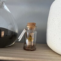 Sml Zelda BOTW Inspired Personalised Korok in a Glass Bottle G Gaming ...