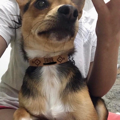 Dog Neck Band With Name. Custom Pet Id. Engraved Dog Collar. - Etsy