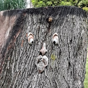 Mr. Grumpy Stump Tree Face Fun Birthday Gifts Made in - Etsy Canada