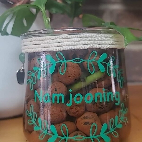 Monster Hunter Rathalos Icon Perler Art - Etsy