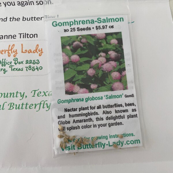 Hollyhock (alcea Rosea Indian Spring Mix) Packet of 25 Seeds With FREE ...