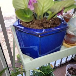 Self Watering Hexagon Shape Ceramic Pot, African Violet Pot, Succulent ...