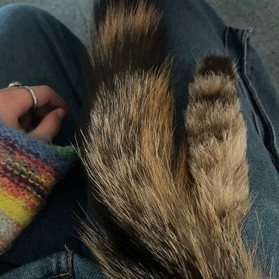 Eco Friendly Blue Fox Tails - Etsy