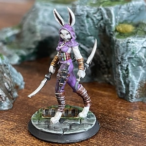 Masked Fighter Female Galaad Miniatures Fantasy Dungeons - Etsy