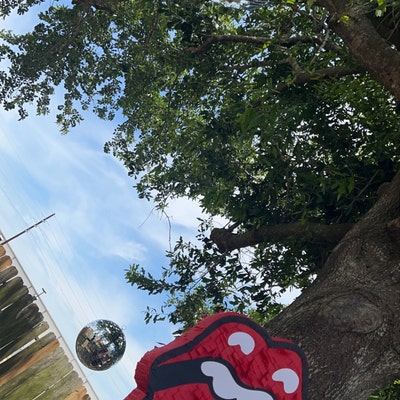 Donkey Pinata Mexican Theme - Etsy