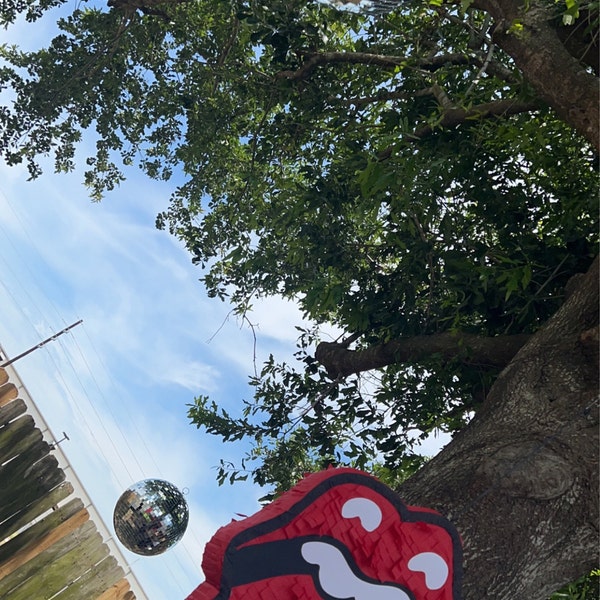 Sunflower Pinata Flower Theme - Etsy