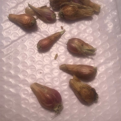 Filipino Food Word Search, Tagalog Printable Activity, Kids Word Games ...