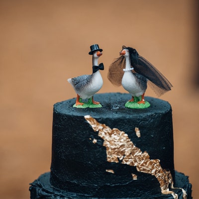 Groundhog Cake Topper, Animal-bride-groom-groundhog-wedding-wildlife ...
