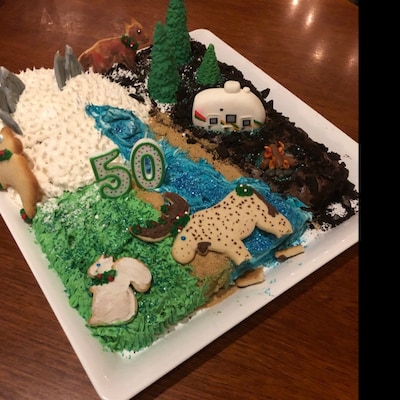 Handmade Edible Fondant RV Camping Cake Topper Set - Etsy