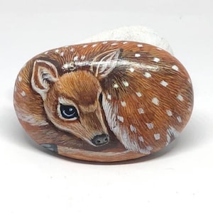 Fawn Painted Rock, Unique Deer Painted Stones for Gift and Home Decor ...