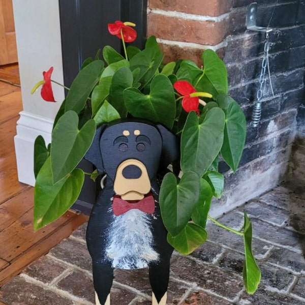 HAND PAINTED - Dog Planter Kit (100 Breeds & Designs Available - See ...