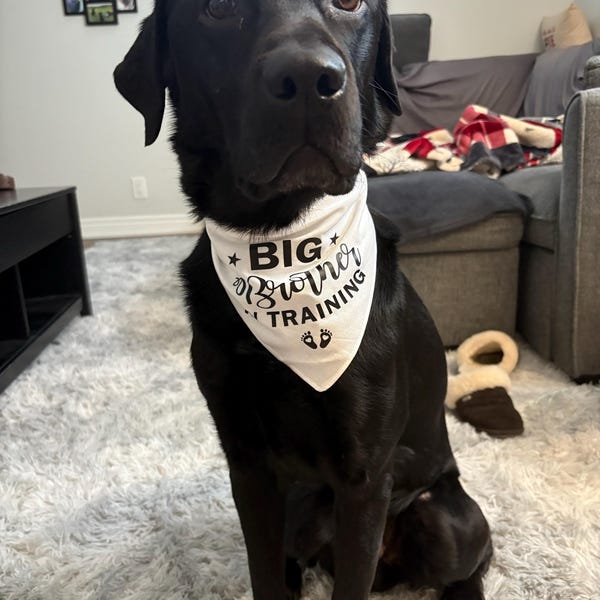 Hello Seven, 7th Birthday Shirt, Seventh Birthday Shirt, Cute 7th ...