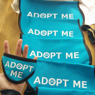 5-pack Adopt Me Dog Jackets Vests Mix & Match - Etsy