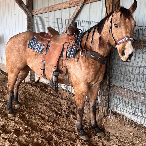 Skinny Bronc Poly Rope Halter - Etsy