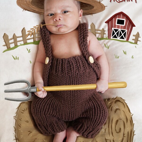 Monthly Baby Milestone Photo (12-MONTH PACKAGE), Illustration/drawing ...