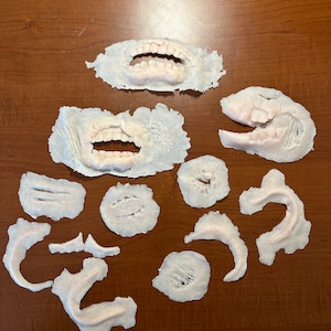 Encapsulated SFX Silicone Zombie Ripped Mouth Prosthetic - Etsy UK