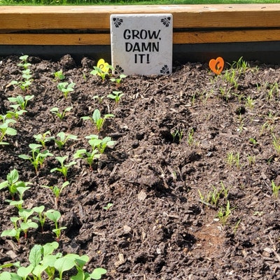 Toad Abode Funny Garden Sign Toad House Garden Sign Cute Gift for ...