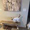 Wood Noodle Console Entry Table 4ft X 10"x 34" Weathered Blonde ...
