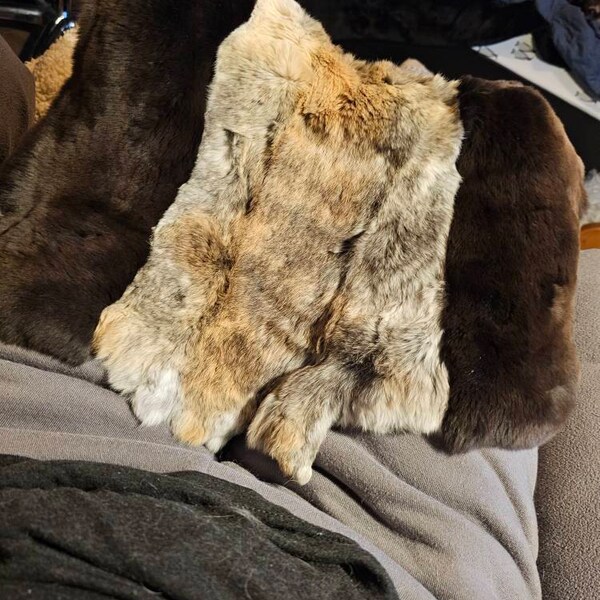 One Average Steel Grey Rabbit Hide- Natural Rabbit Fur- No. 180823-JJJJ ...