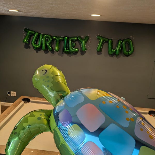 Turtley Two Letter Balloon Kit Turtle 2nd Birthday Party Decorations ...