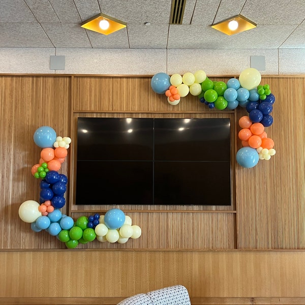 Custom Balloon Arch Kit | DIY Balloon Garland, Baby Shower, Bridal ...