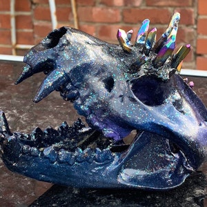 Turtle Skull Loggerhead Sea Turtle replica High Quality - Etsy