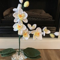 Crochet Peace Lily Pattern Photo Tutorial Crochet Plant Pattern - Etsy UK