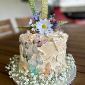 Silicone 1.5 Sea Snail Shell Mold for Cake Decorating. - Etsy