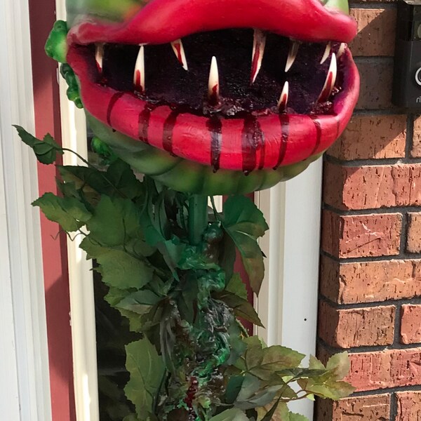 Special Edition Bloody Fangs 18 Pcs 4,lg, 6,med, 8,small - Etsy