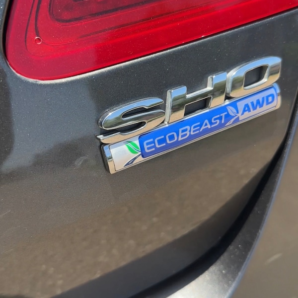 Gel Coated (domed) FORD Ecobeast AWD or Twin Turbo AWD Emblem Overlay ...