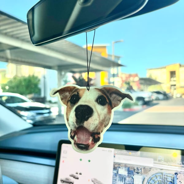 Funny Air Freshener Flaming Eye Freshener Cute Air Freshener Cool Air ...